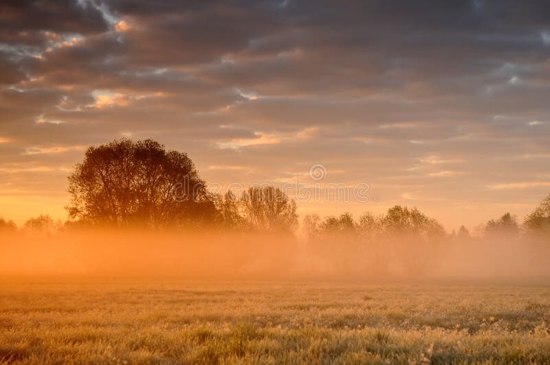 Orange misty sunrise stock image. Image of november, autumn - 60821729