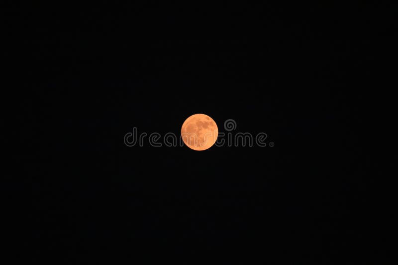 Orange moon shining stock photo. Image of moon, orange - 161387210