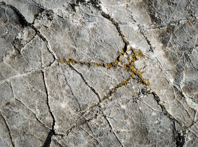 Orange Moss Garden on the Limestone Rock Stock Image - Image of mineral ...