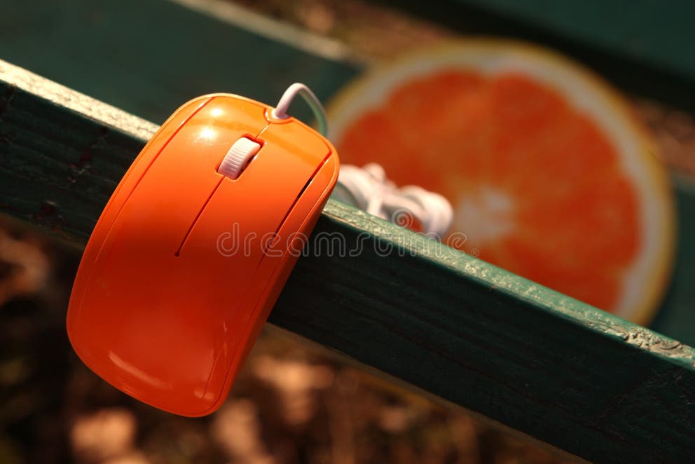 Orange mouse stock image. Image of computer, scroll, information - 17472585