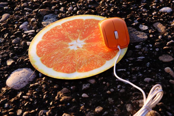 Orange mouse stock photo. Image of connect, mouse, fruit - 17472590