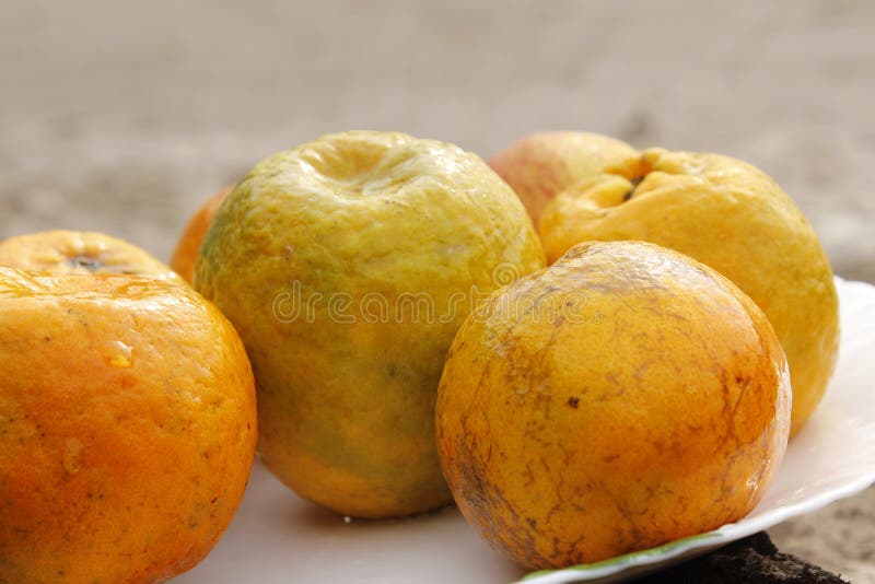 Orange with natural light stock image. Image of light - 135199191