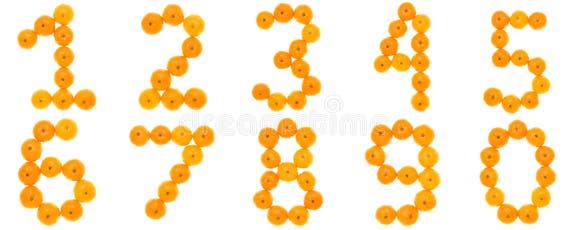 Orange numbers stock photo. Image of numbers, five, collection - 7452552