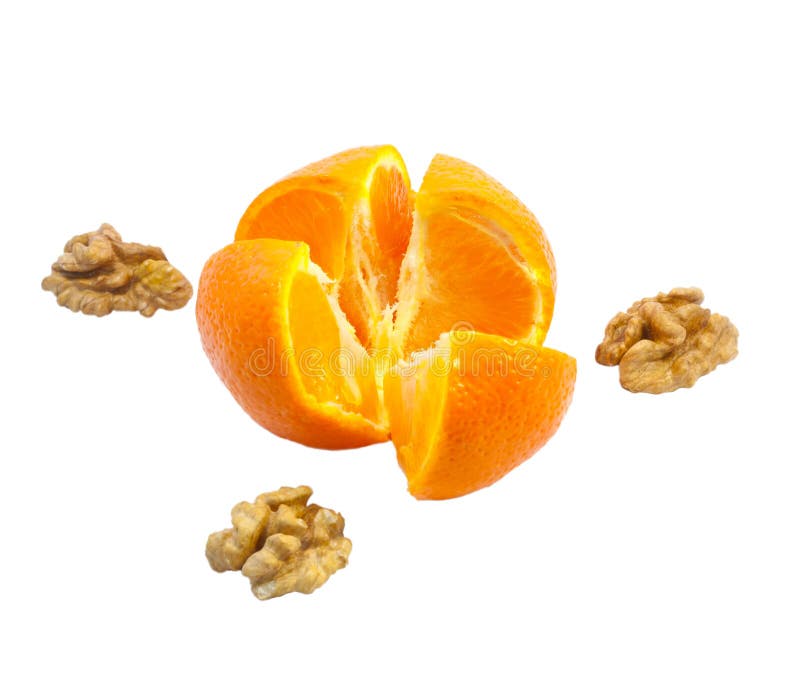Orange and nuts stock photo. Image of background, vitamin - 19452814