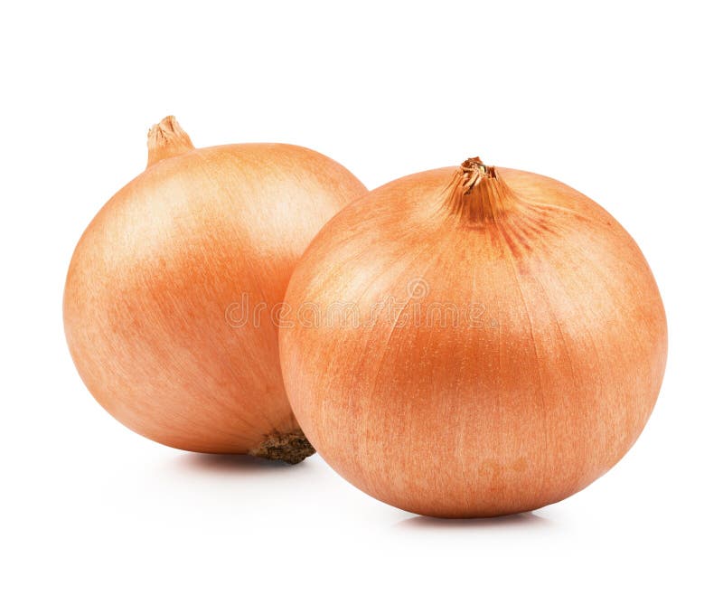 Orange onion vegetable stock photo. Image of closeup - 17803660