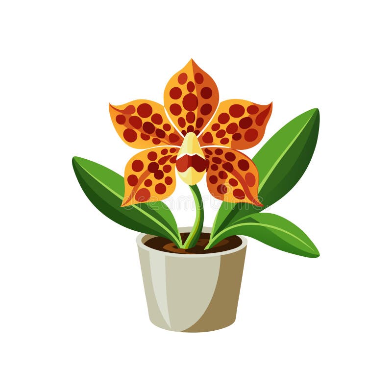 Orange Orchid in Pot Vector Illustration Stock Illustration ...