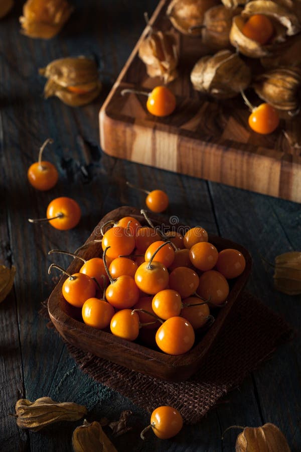 Orange Organic Cape Gooseberries Stock Photo - Image of husk, cherry ...