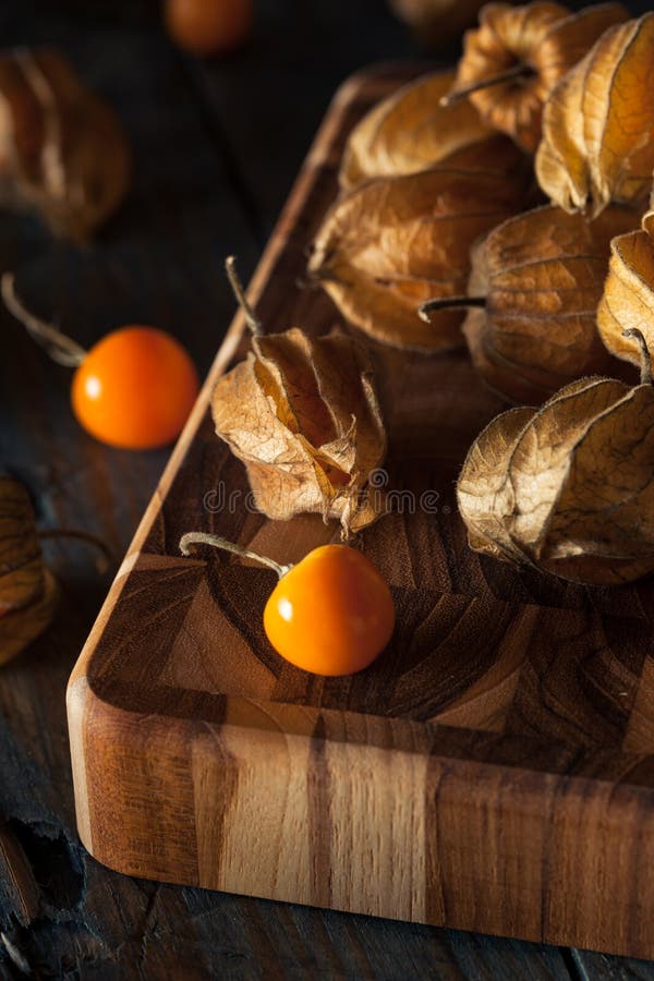 Orange Organic Cape Gooseberries Stock Photo - Image of fruit, cape ...