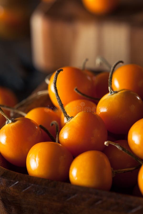 Orange Organic Cape Gooseberries Stock Image - Image of small, vitamin ...