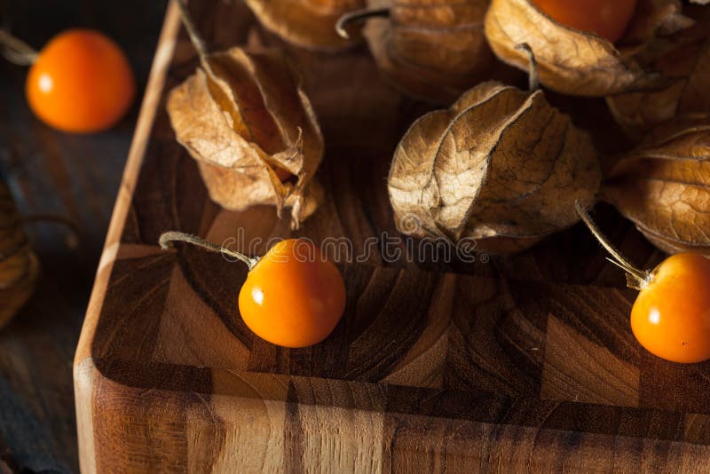 Orange Organic Cape Gooseberries Stock Image - Image of autumn, cherry ...