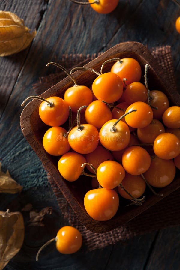 Orange Organic Cape Gooseberries Stock Image - Image of food ...