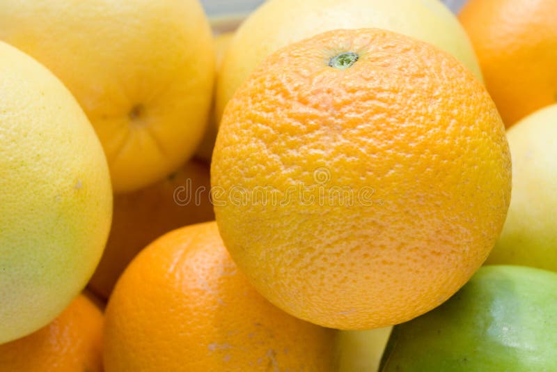 Orange and other citrics stock photo. Image of farm, nature - 5193642