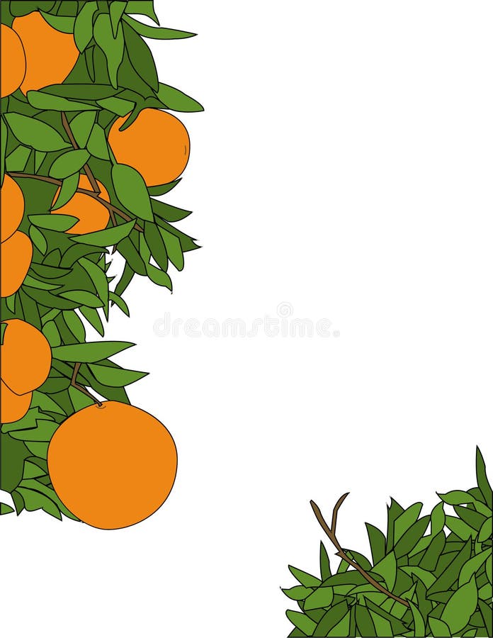 Orange Page Design stock vector. Illustration of frame - 8011197