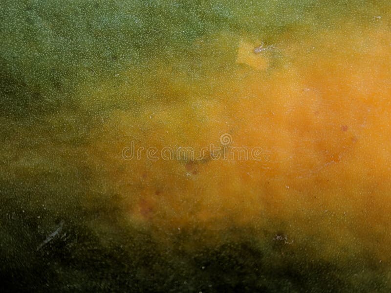 Orange Papaya Surface Texture Background Stock Photo - Image of health ...