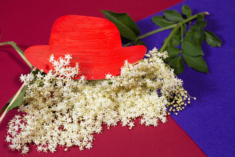 Orange Paper Hat with Elderflower on a Red Background Stock Photo ...