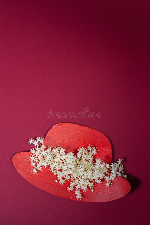 Orange Paper Hat with Elderflower on Red Background, Place for Text ...