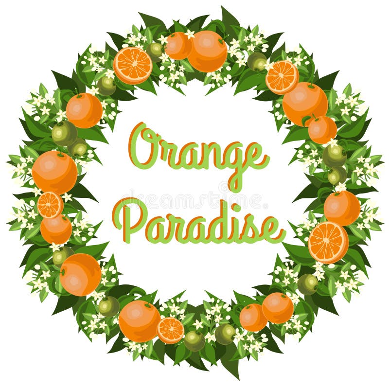 Orange paradise. stock vector. Illustration of nature - 81477711