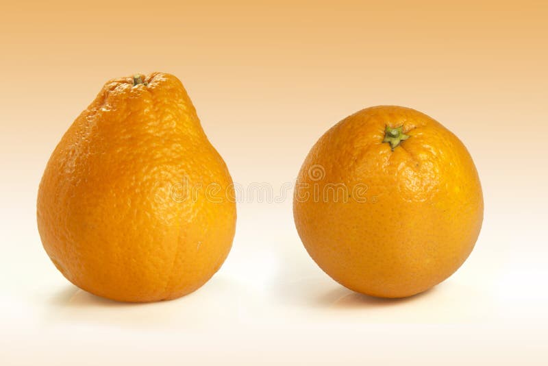 Orange pear stock image. Image of diversity, agriculture - 49435807