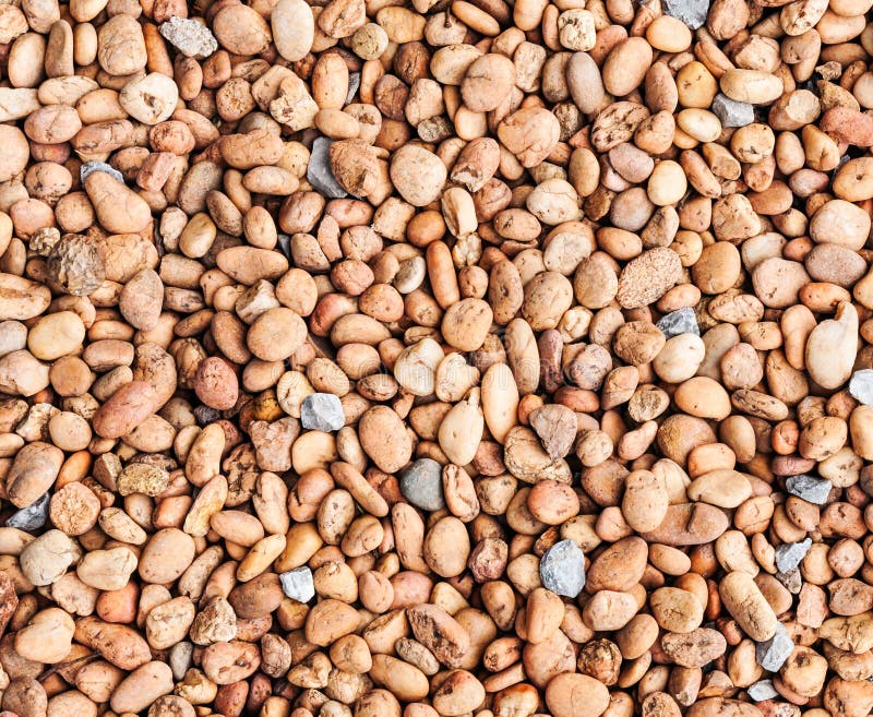 Orange pebble stock image. Image of background, backdrop - 29896689
