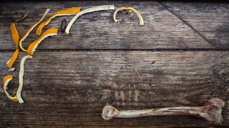 A Gnawed Chicken Bone on a Wooden Board Stock Photo - Image of gnawed ...