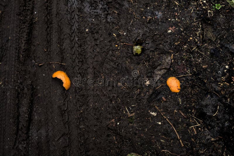 Orange Peels on a Muddy Path Seen from Above Stock Photo - Image of ...