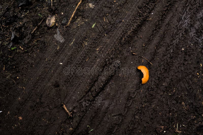 Orange Peels on a Muddy Path Seen from Above Stock Image - Image of ...