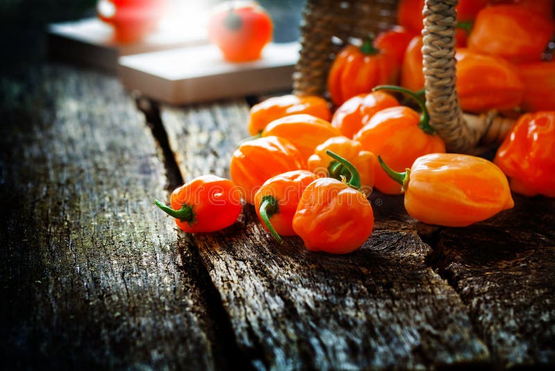 Orange Pepperoni on Wooden Table Stock Photo - Image of chilies ...