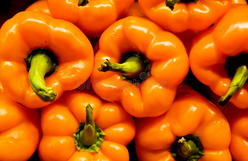 Orange Peppers stock photo. Image of vegetable, green - 7327812