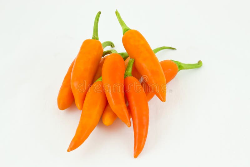Orange peppers capsicum stock image. Image of seeds, agriculture - 23743167