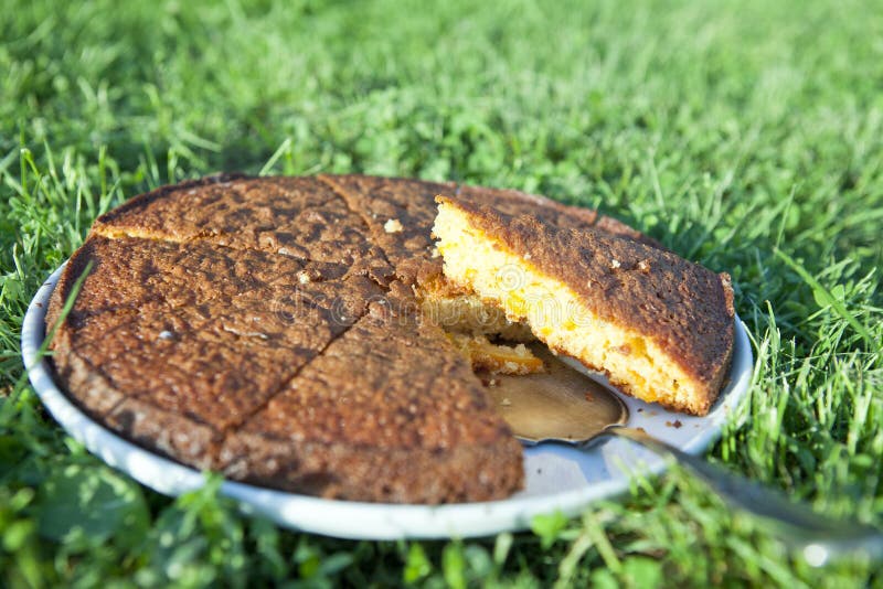 Orange pie stock image. Image of holiday, food, baked - 36822157