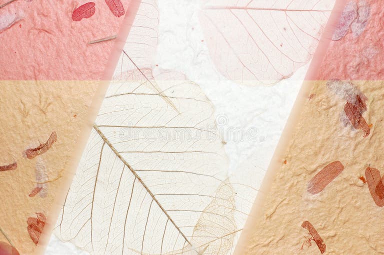 1,146 Muted Leaves Background Stock Photos - Free & Royalty-Free Stock ...