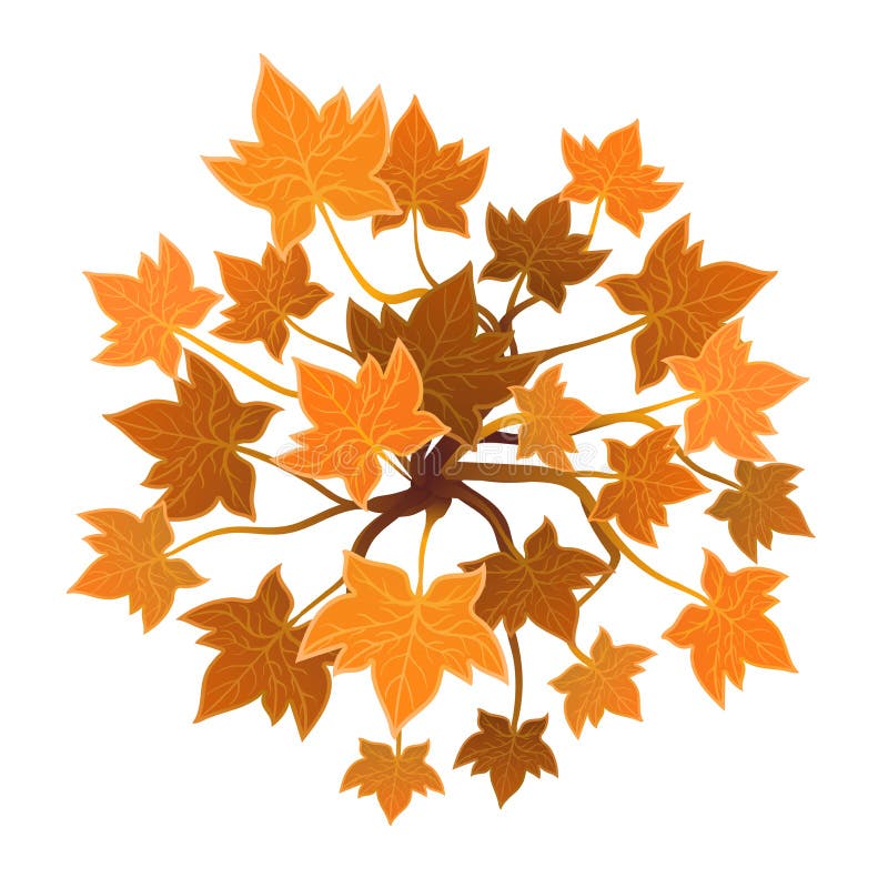 Top View Orange Tree Isolated White Stock Illustrations – 1,123 Top ...