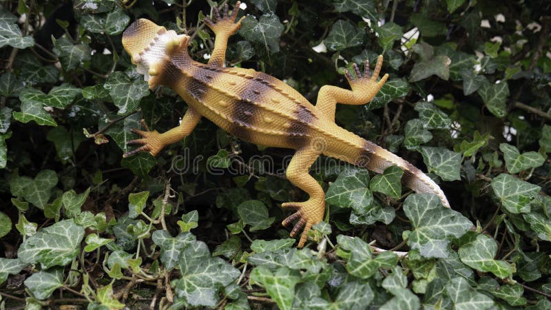 Orange Plastic Lizard Toy in Nature Stock Image - Image of rubber ...