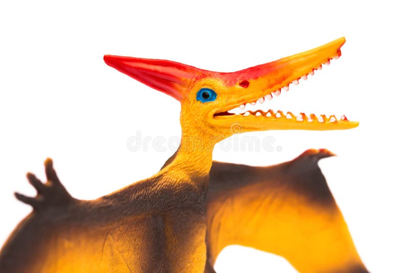 Orange Pterosaurs Catches a Smaller Dinosaur Toy on White Stock Photo ...