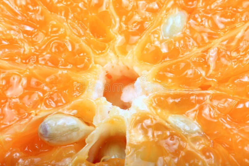 Orange pulp stock photo. Image of citrus, pulp, yellow - 15999632