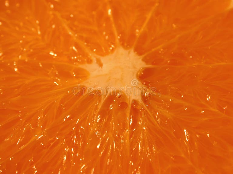 Orange pulp stock photo. Image of juicy, fruits, juice, fresh - 64768