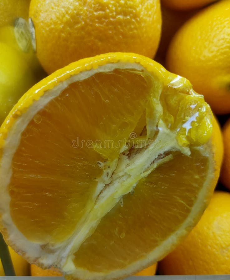 Orange pulp stock photo. Image of pulp, orange, sweet - 282563054