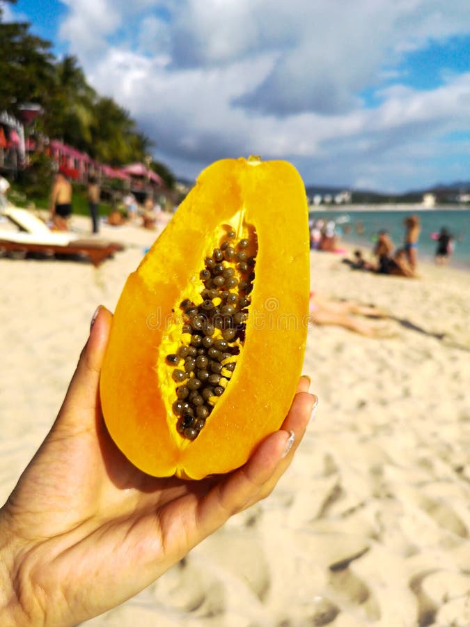 Orange pulp papaya in hand stock image. Image of sweet - 179598479