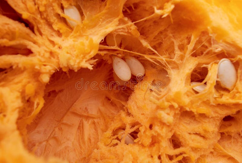 Orange Pulp with Seeds in a Pumpkin As Background Stock Photo - Image ...