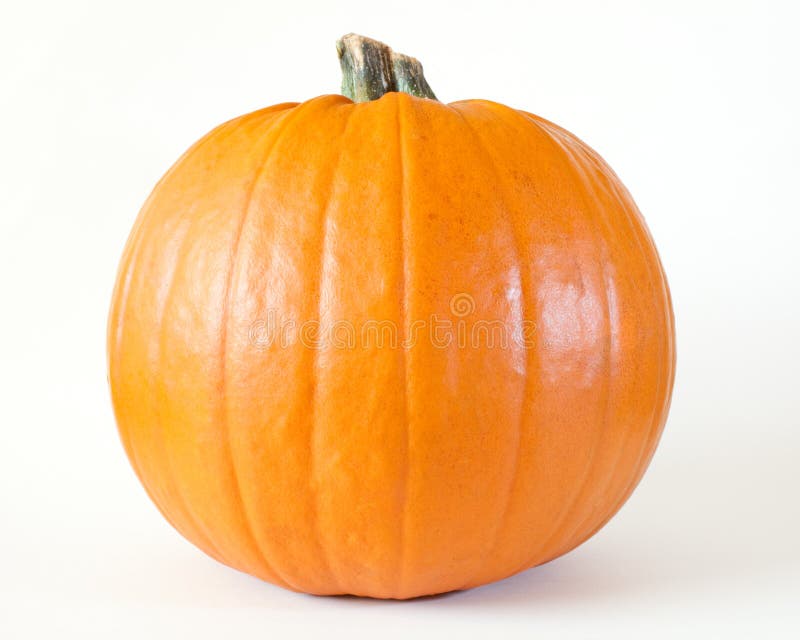 Fresh orange pumpkin stock photo. Image of fresh, white - 29526428