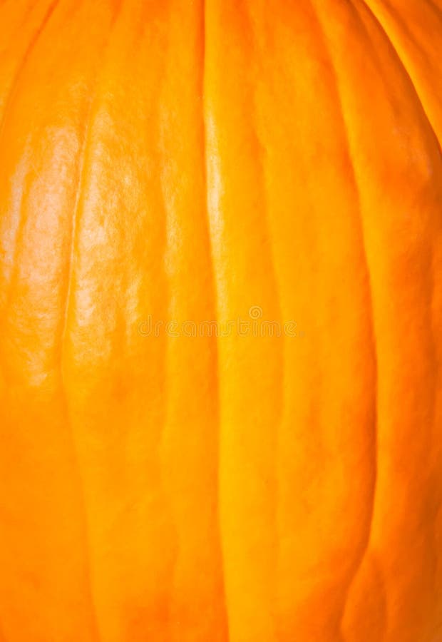 39,021 Pumpkin Texture Stock Photos - Free & Royalty-Free Stock Photos ...