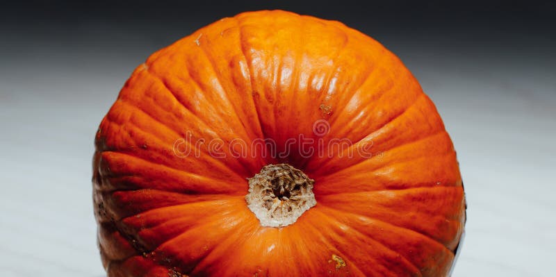 Pumpkin Bottom-side, Isolated Stock Image - Image of gourd, stem: 6399935