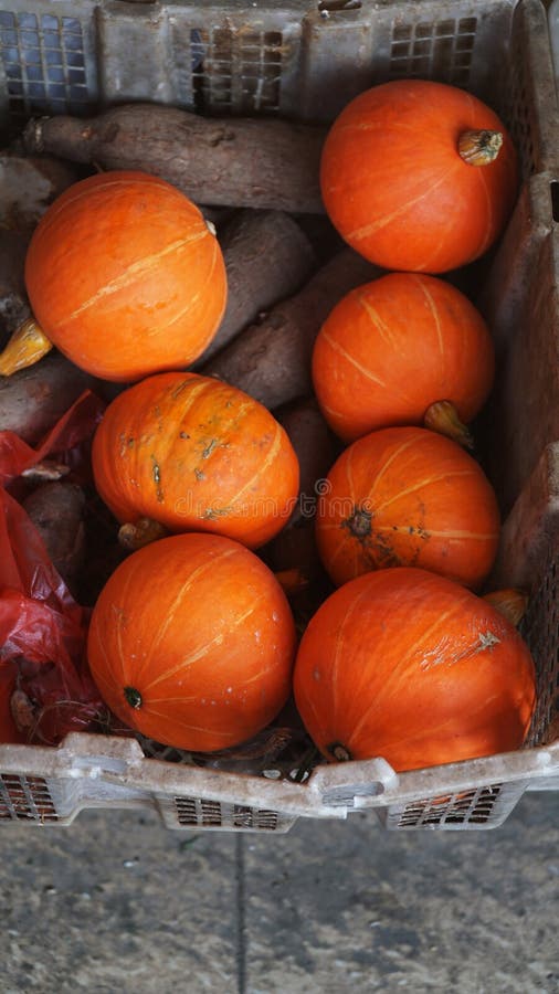 Orange Pumpkin Fruit in Basket Stock Image - Image of nature, organic ...