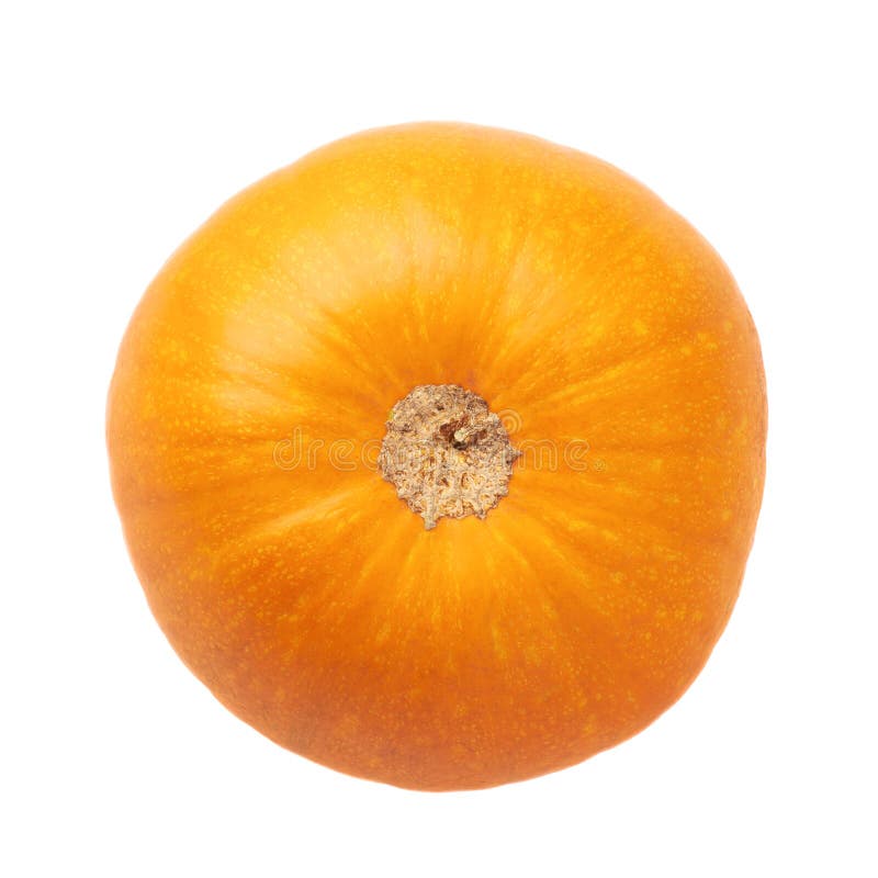 Orange pumpkin isolated stock image. Image of garden - 48061791