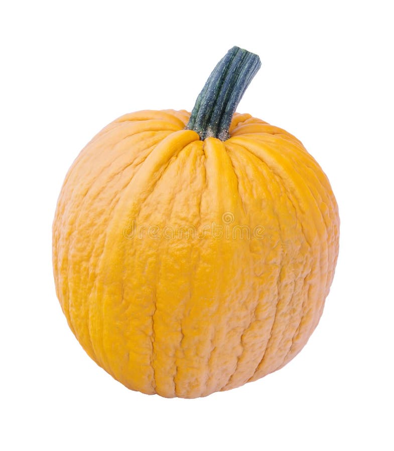 Orange pumpkin isolated stock image. Image of thanksgiving - 175232937