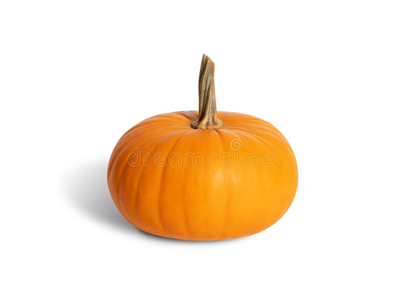 Orange Pumpkin Isolated on a White Background. Ripe Pumpkin. Side View ...