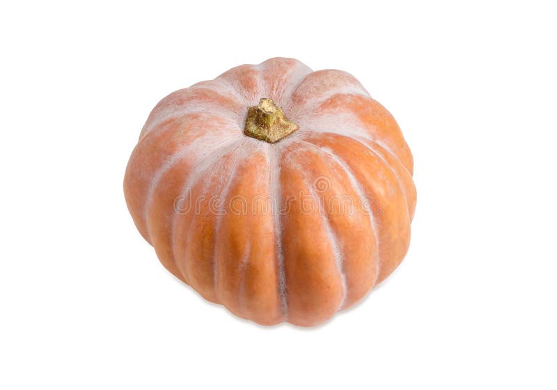 Orange Pumpkin on a Light Background Stock Image - Image of food, fresh ...