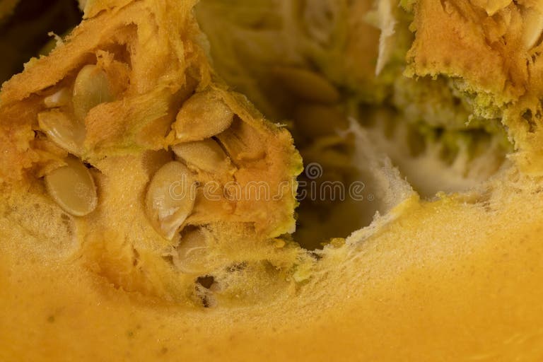 Pumpkin Pulp in the Kitchen, Ripe Large Orange Pumpkin with Seeds Stock ...
