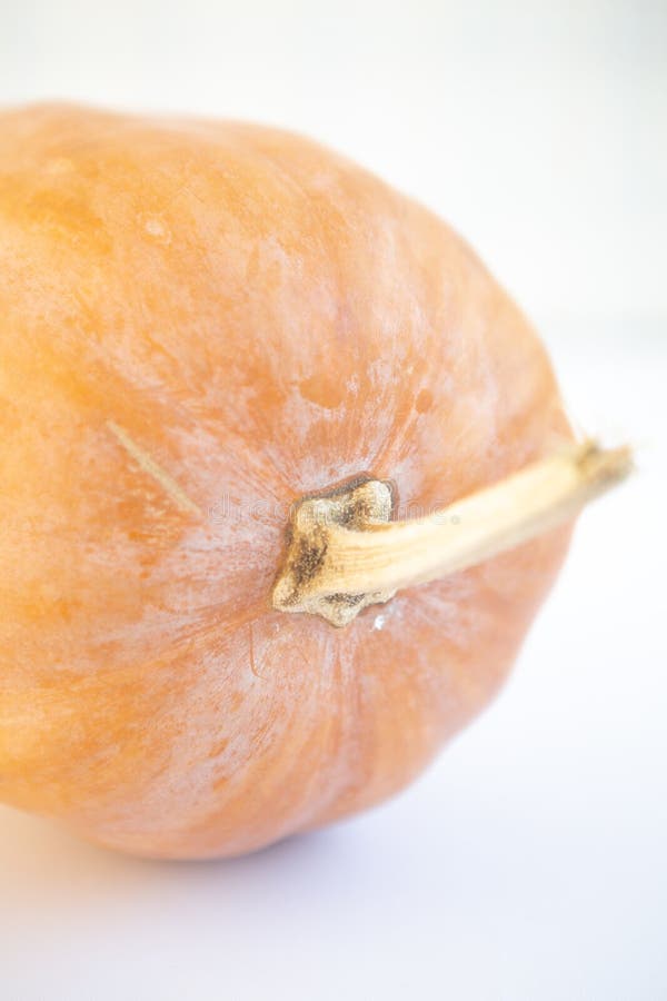 Orange Pumpkin with a Root White Background Stock Image - Image of ...
