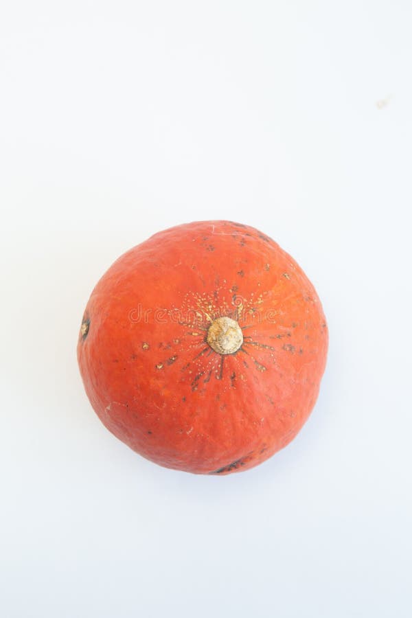 Orange Pumpkin with a Root White Background Stock Photo - Image of ...